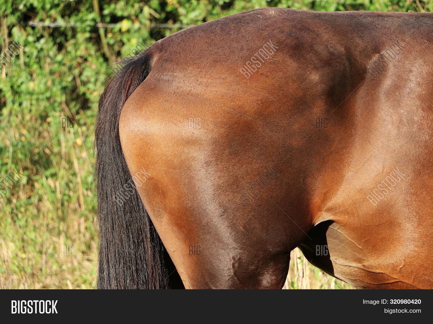 Side View Detail Image & Photo (Free Trial) | Bigstock