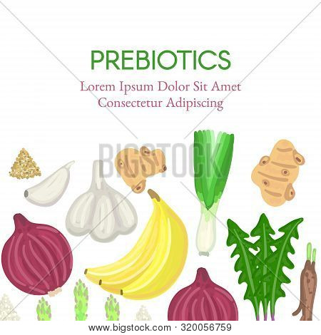 Prebiotic Food. Vector & Photo (Free Trial) | Bigstock