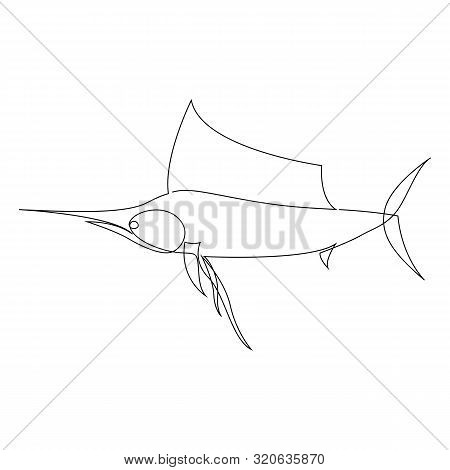 Sailfish Images, Illustrations & Vectors (Free) - Bigstock