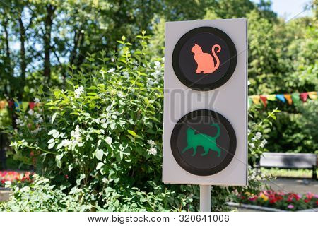 Traffic Light Cats. Image & Photo (Free Trial) | Bigstock