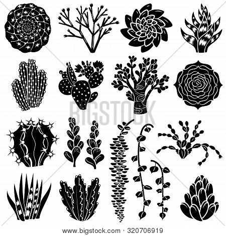 Succulent Icons Set. Vector & Photo (Free Trial) | Bigstock
