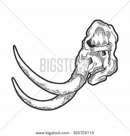 Mammoth Skull Images, Illustrations & Vectors (Free) - Bigstock