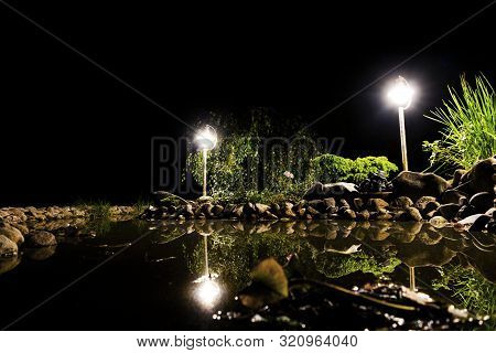 Garden Pond Night. Image & Photo (Free Trial) | Bigstock
