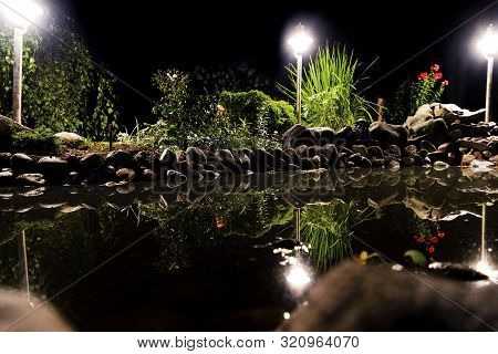 Garden Pond Night. Image & Photo (Free Trial) | Bigstock