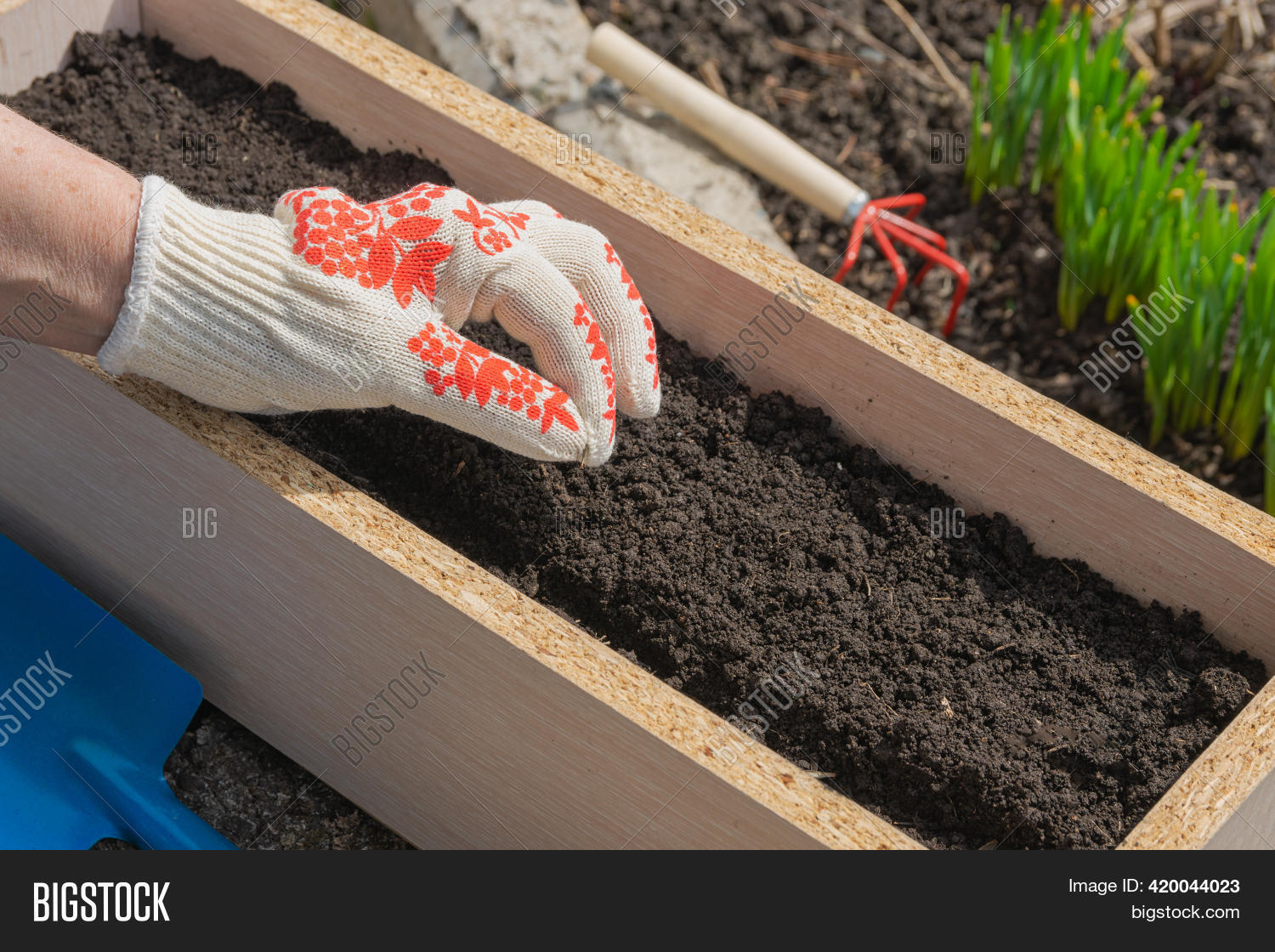 Woman Sowing Flower Image & Photo (Free Trial) | Bigstock