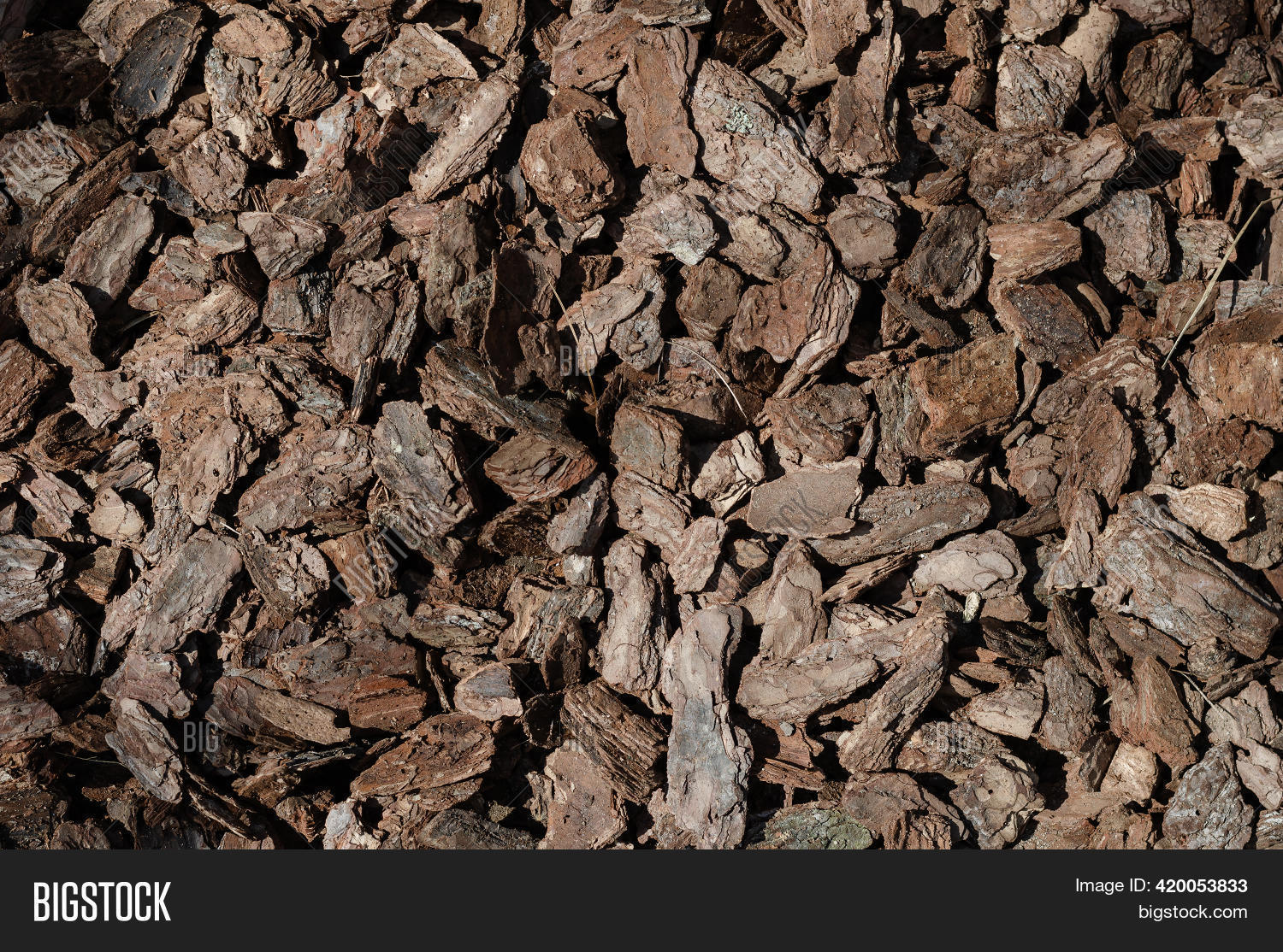 Shredded Pine Bark Image & Photo (Free Trial) | Bigstock