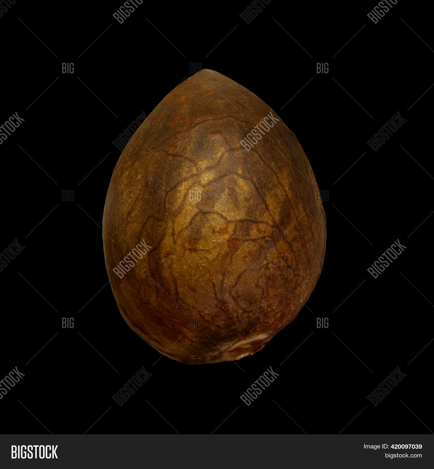 Beautiful Avocado Image & Photo (Free Trial) | Bigstock