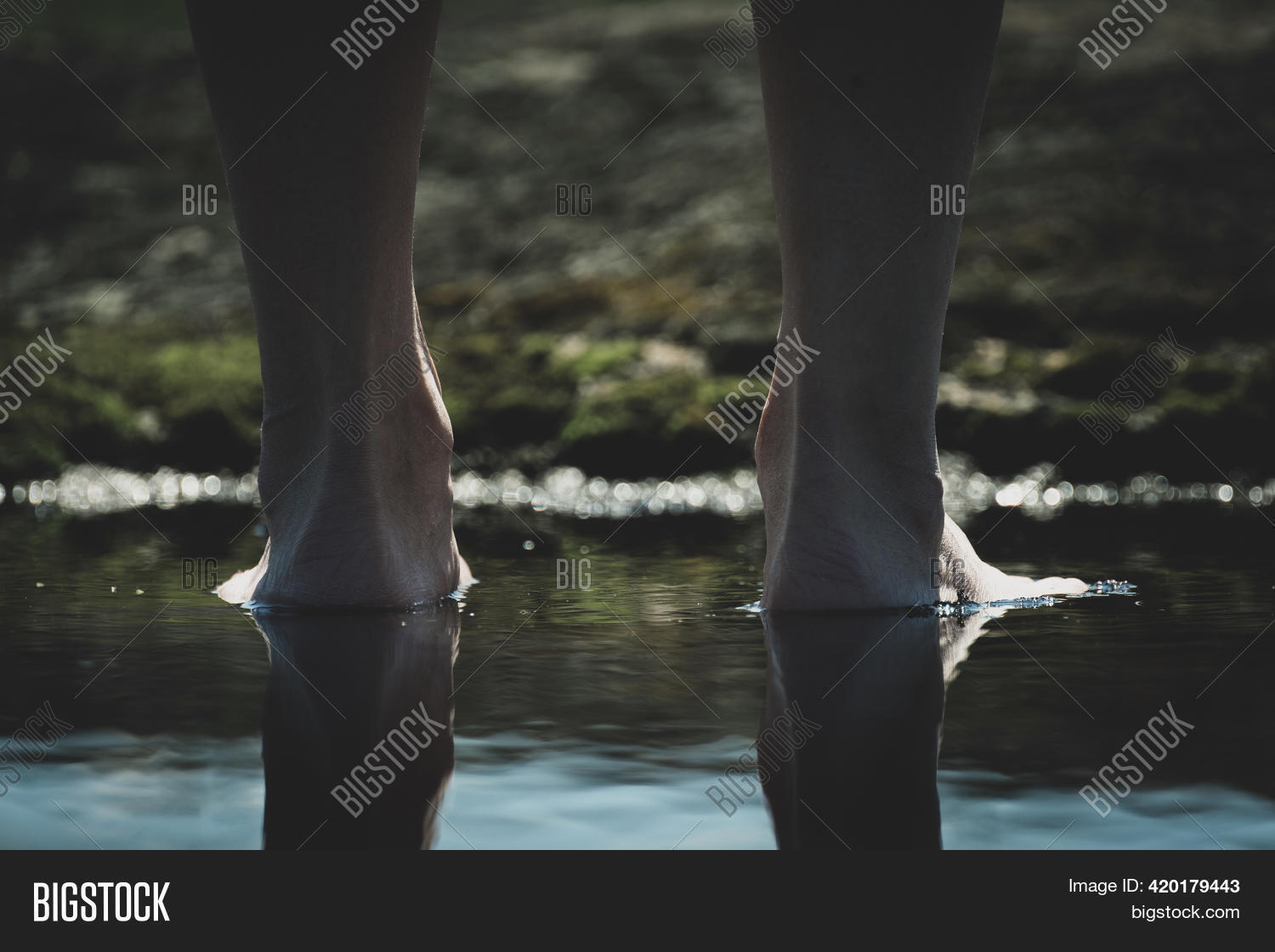 Barefoot Puddle. Woman Image & Photo (Free Trial) | Bigstock