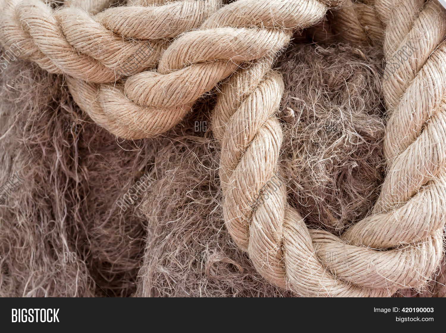 Rope Made Natural Image & Photo (Free Trial) | Bigstock