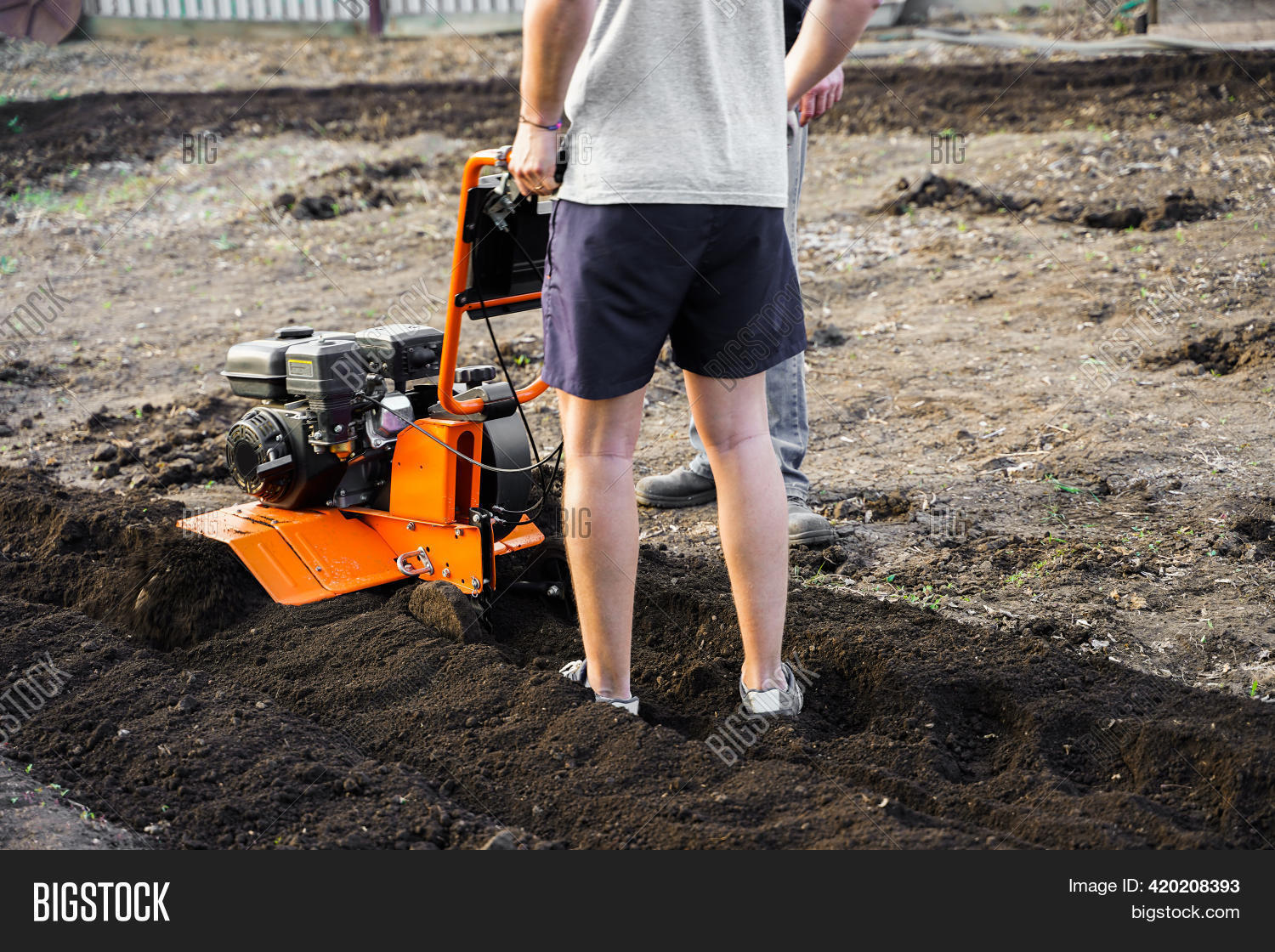 Man Plows Ground Image & Photo (Free Trial) | Bigstock