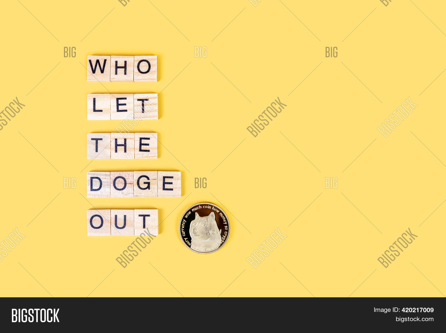 Who Let Doge Out Sign Image & Photo (Free Trial) | Bigstock