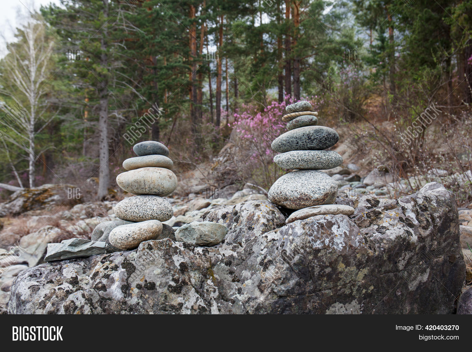 Tradition Making Image & Photo (Free Trial) | Bigstock