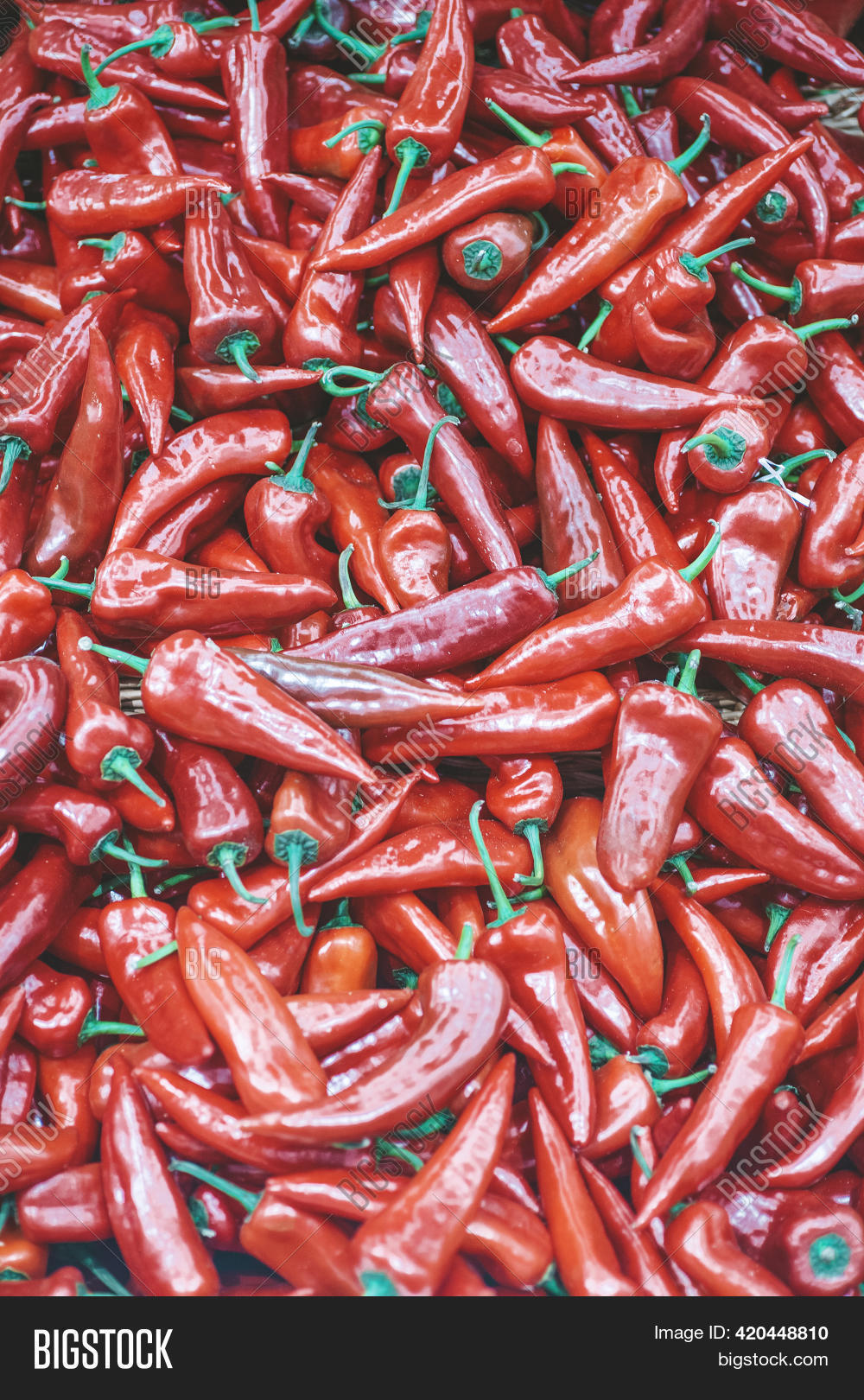 Paprika Pepper Image & Photo (Free Trial) | Bigstock