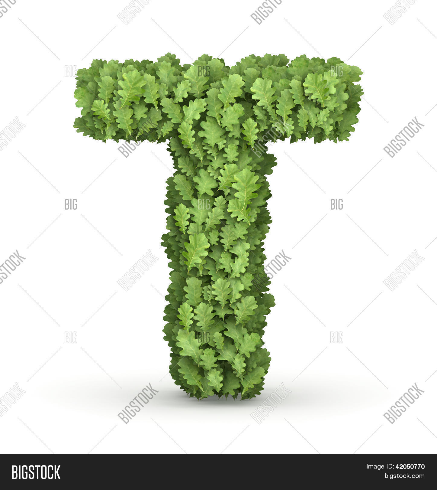 Letter T Green Leaves Image & Photo (Free Trial) | Bigstock