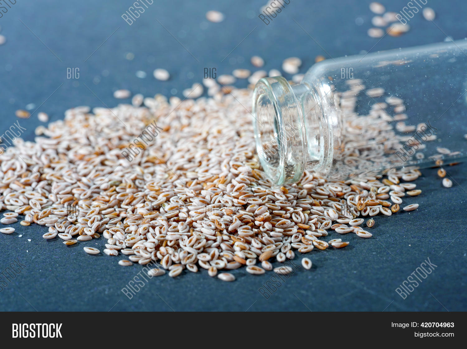 Indian Flea Seeds Image & Photo (Free Trial) | Bigstock