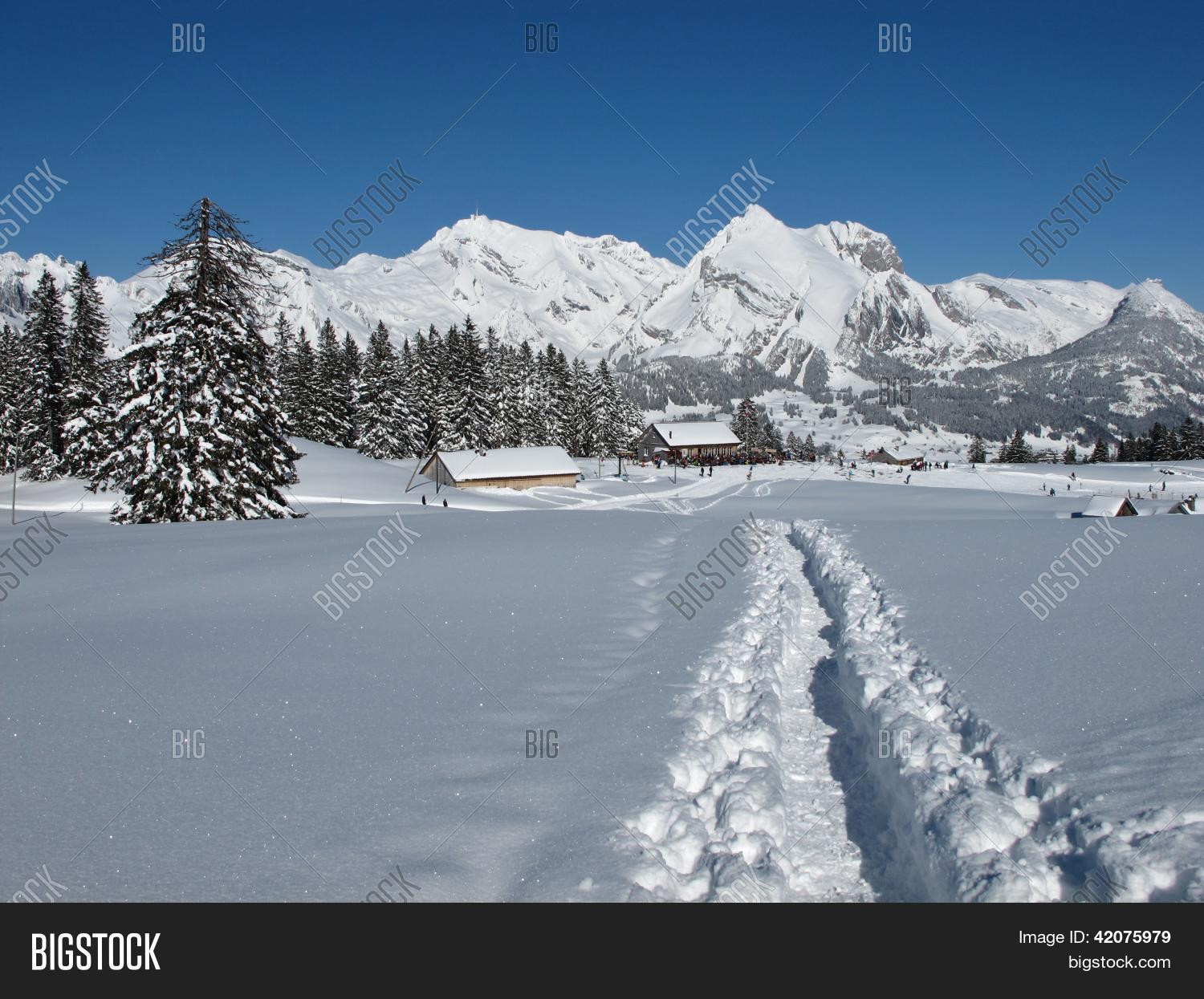 Foot-path Snow, Mt Image & Photo (Free Trial) | Bigstock