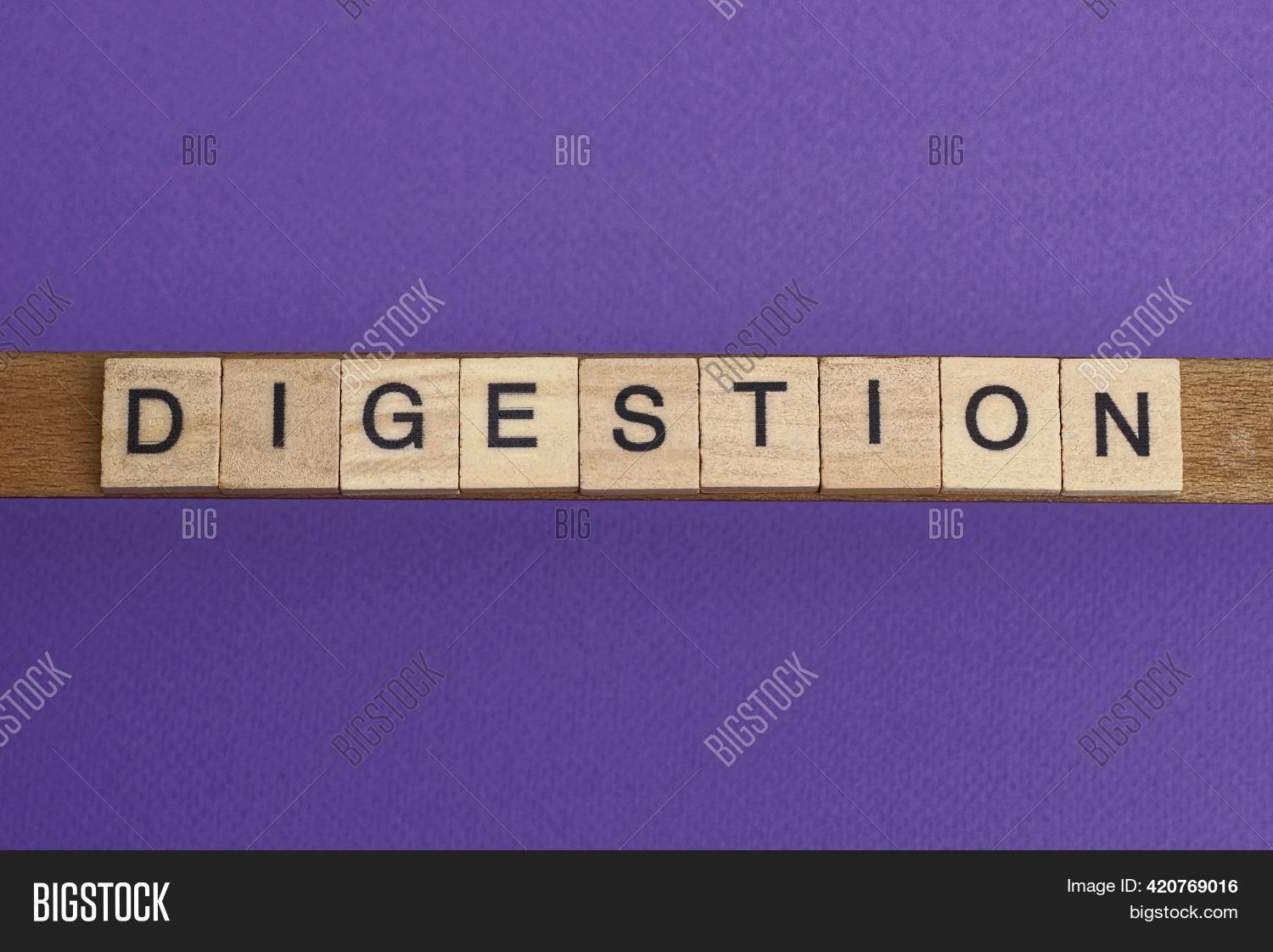 Brown Word Digestion Image & Photo (Free Trial) | Bigstock