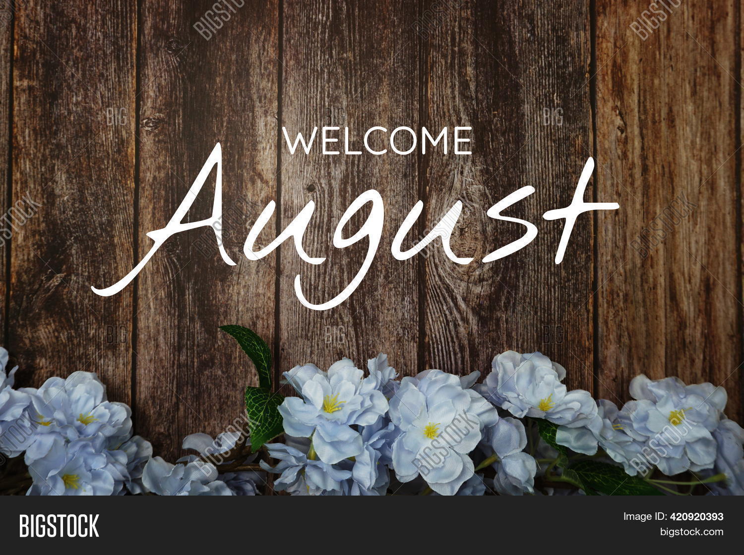 Welcome August
