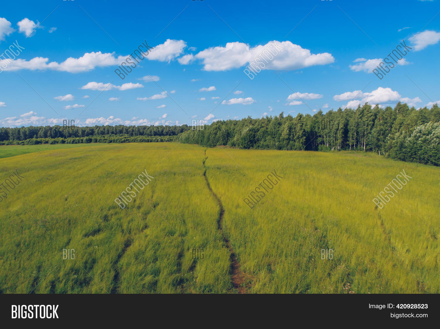 Trail Field Grass. Image & Photo (Free Trial) | Bigstock