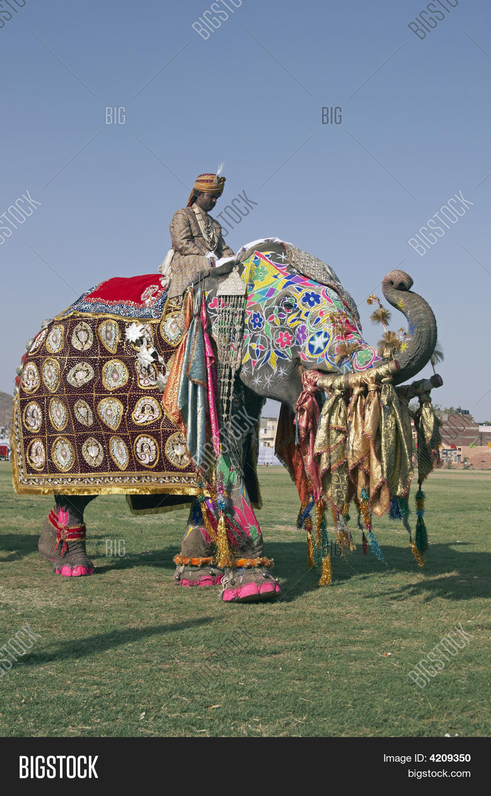 Mahout Riding Image & Photo (Free Trial) | Bigstock