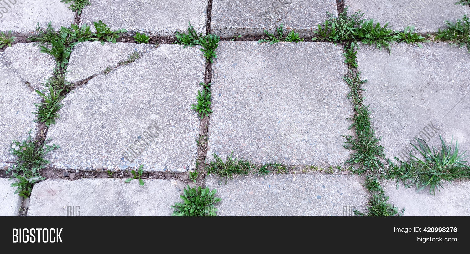 Square Concrete Slabs Image & Photo (Free Trial) | Bigstock