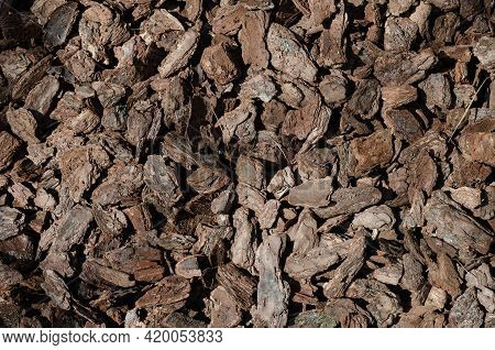 Shredded Pine Bark Image & Photo (Free Trial) | Bigstock