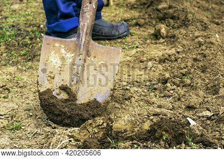 Dig Images, Illustrations & Vectors (Free) - Bigstock