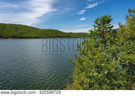 Bovan Lake Near Image & Photo (Free Trial) | Bigstock