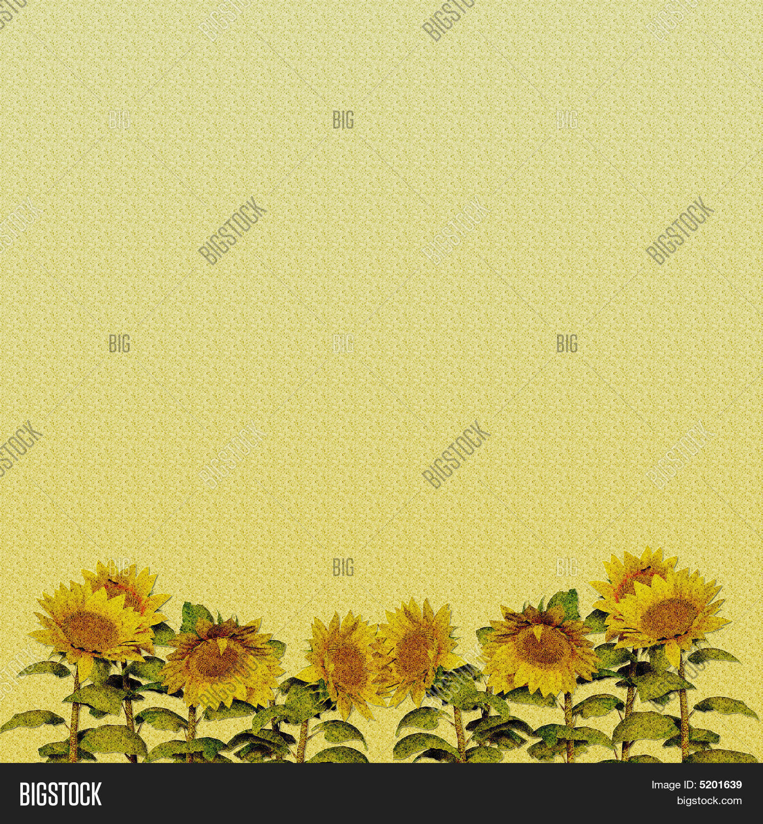 Sunflower Paper Image & Photo (Free Trial) | Bigstock