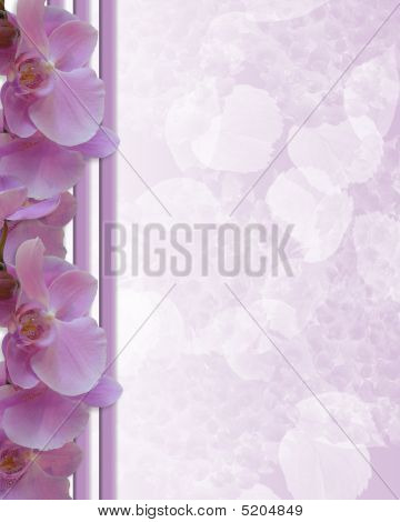 Pink Orchids Border Image & Photo (Free Trial) | Bigstock