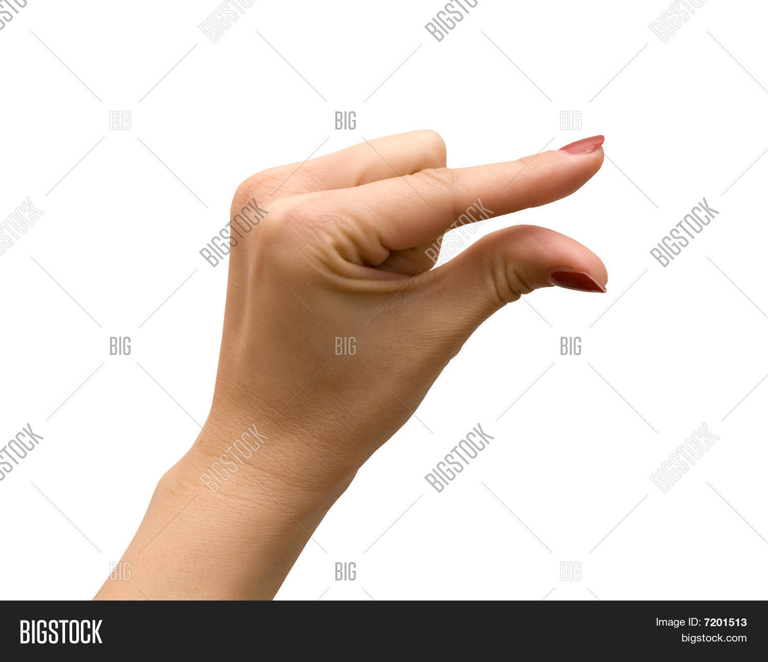 Hand Showing Something Image & Photo (Free Trial) | Bigstock