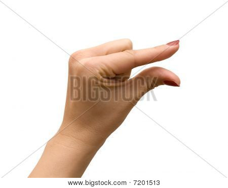 Hand Showing Something Image & Photo (Free Trial) | Bigstock
