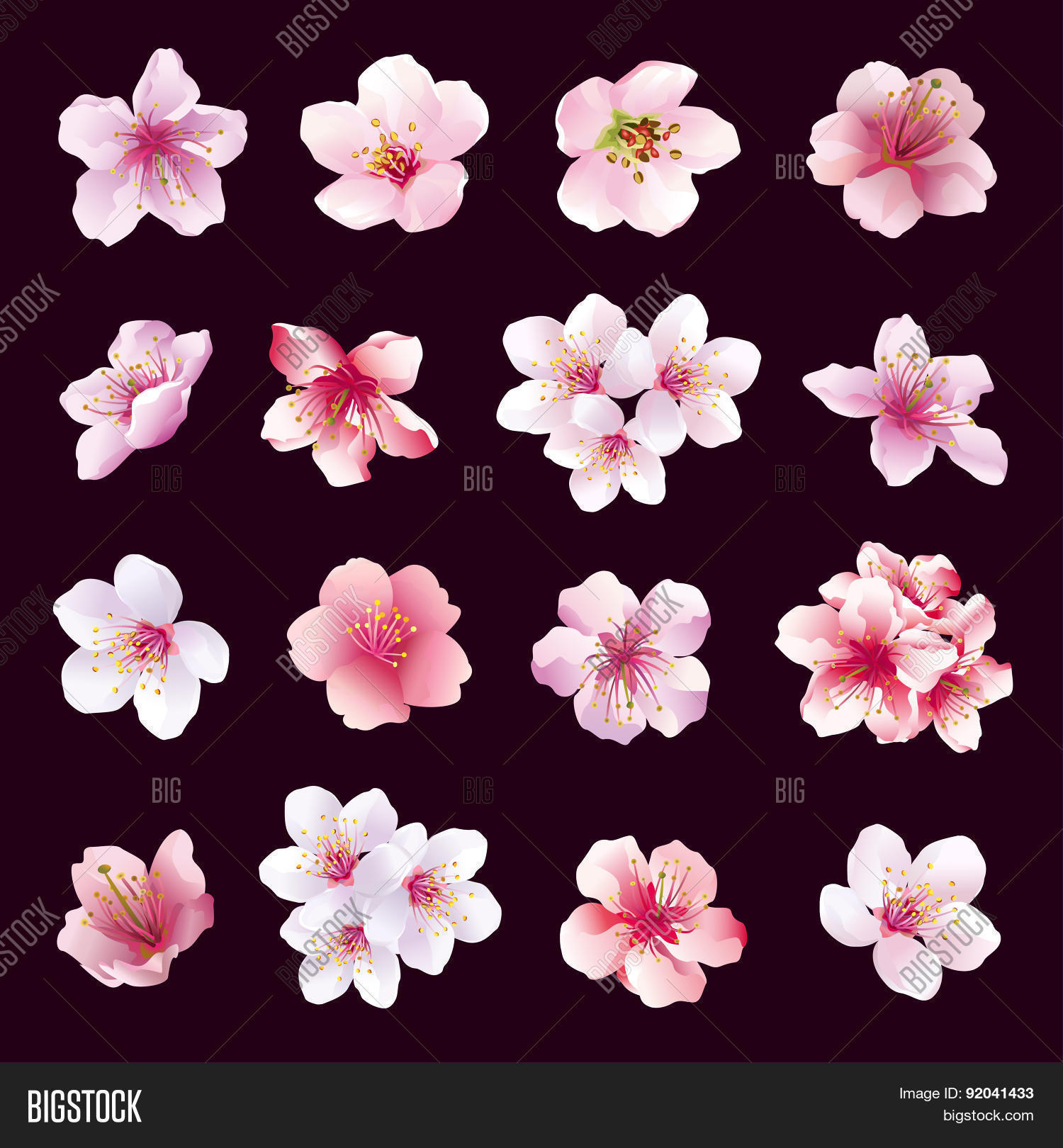 Set Flowers Cherry Vector & Photo (Free Trial) | Bigstock