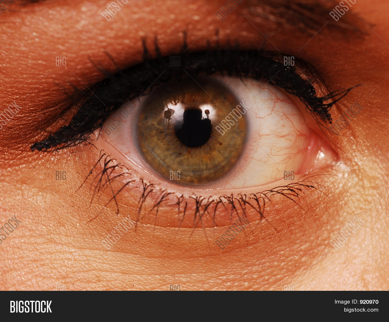 Eye Image & Photo (Free Trial) | Bigstock