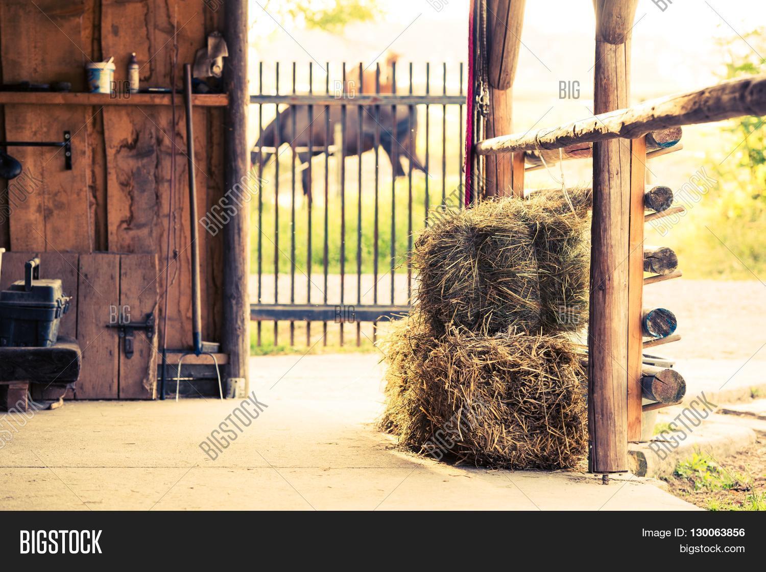 Stable Hay 이미지 및 사진(무료 체험) | Bigstock