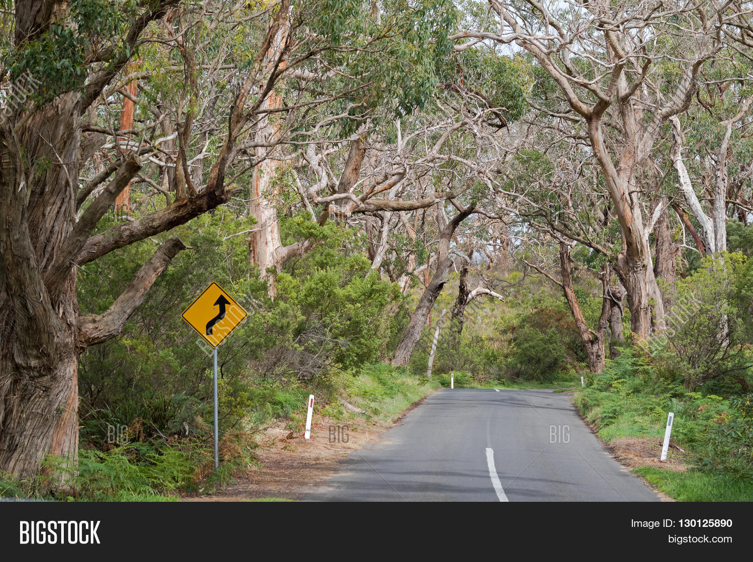 Reverse Curve Road Image & Photo (Free Trial) | Bigstock