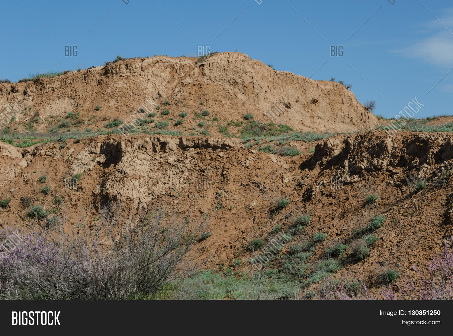 Large Hill Steppe Image & Photo (Free Trial) | Bigstock