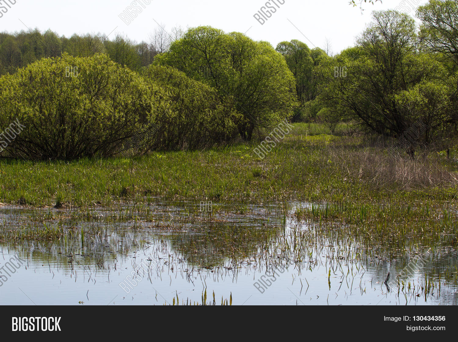 Panorama Small River Image & Photo (Free Trial) | Bigstock