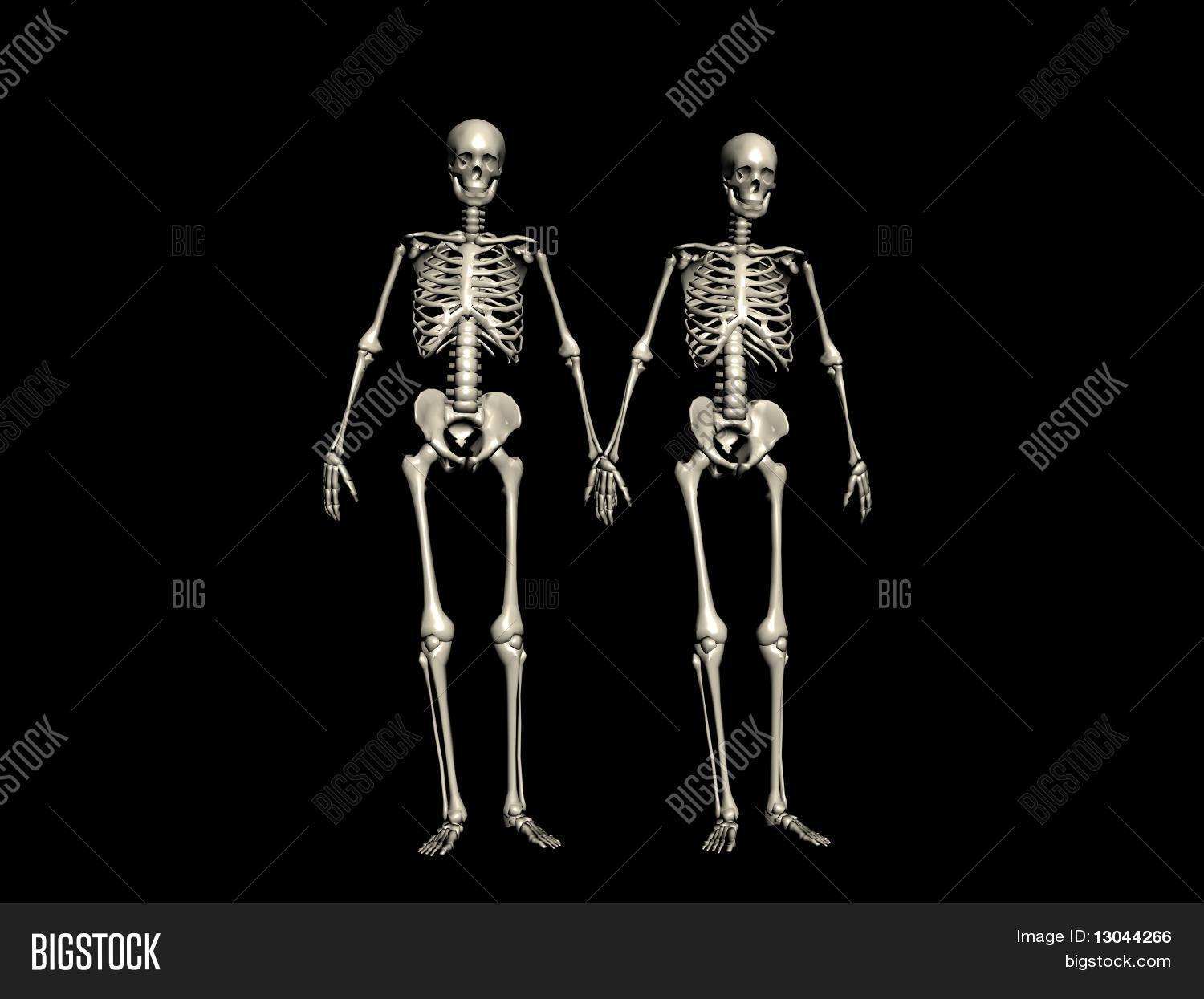 Skeleton Couple Image & Photo (Free Trial) | Bigstock
