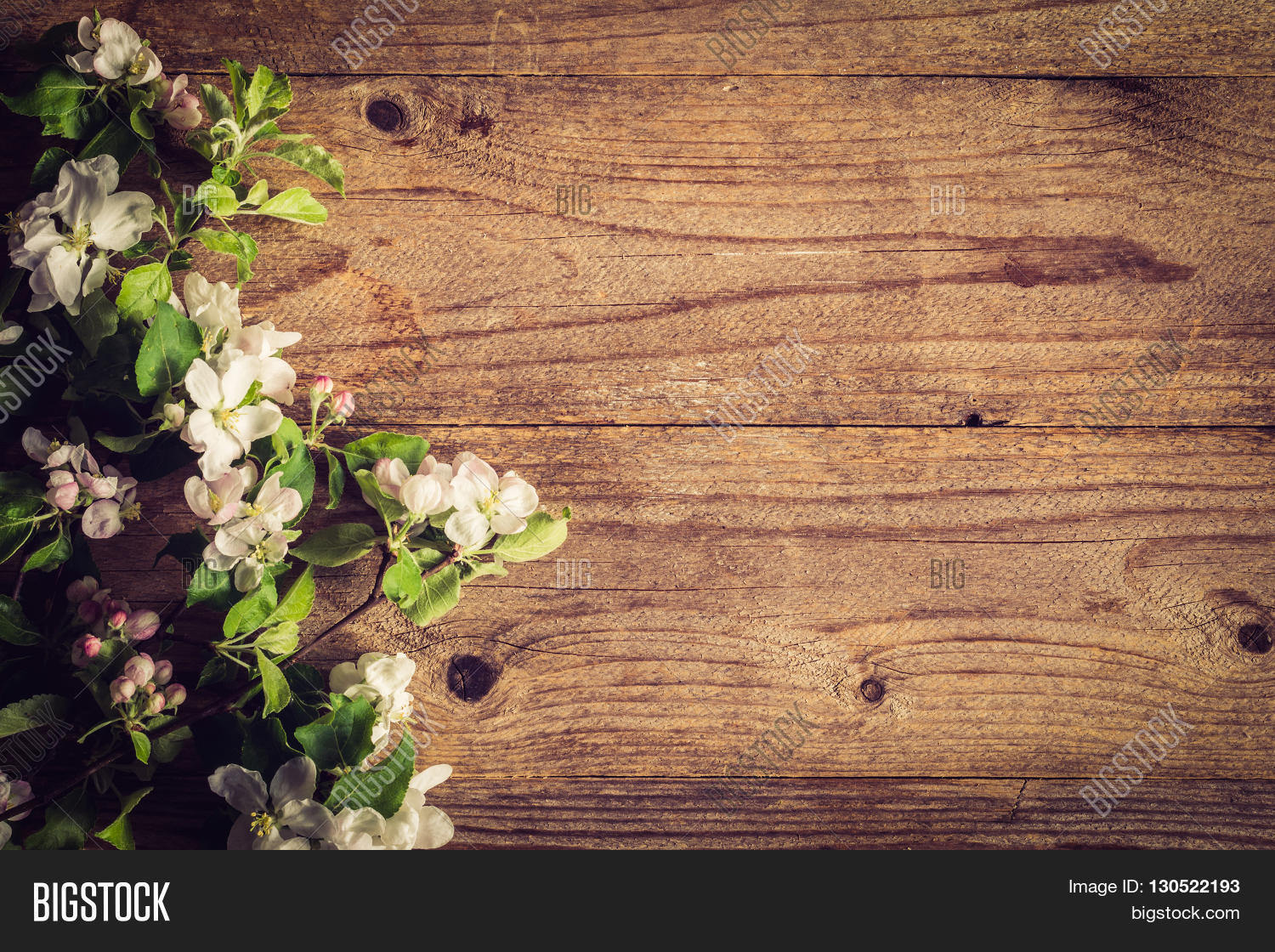 Spring Post Card Image & Photo (Free Trial) | Bigstock