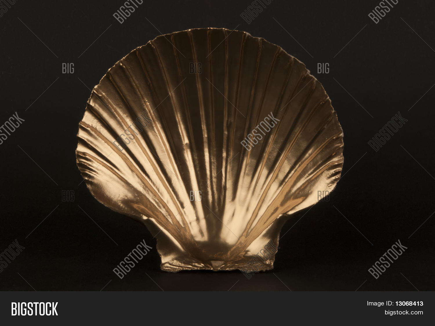 Golden Shell Image & Photo (Free Trial) | Bigstock