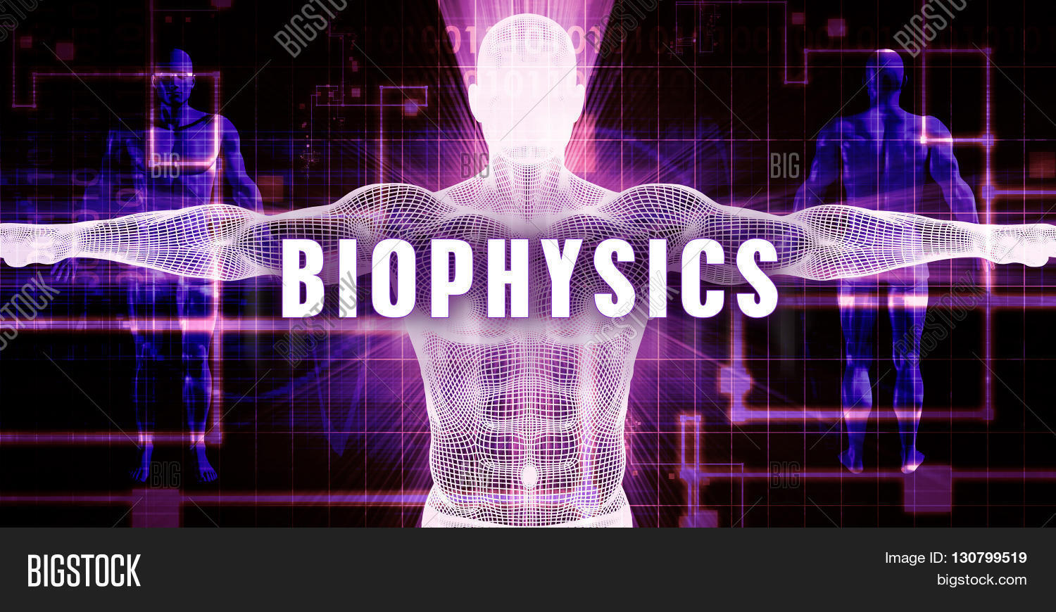 Biophysics Digital Image & Photo (Free Trial) | Bigstock