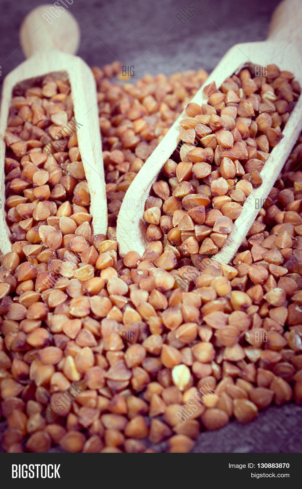 Vintage Photo Heap Image & Photo (Free Trial) | Bigstock