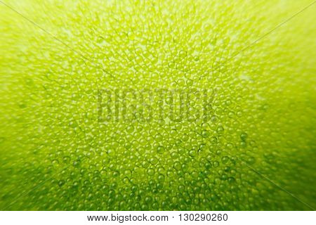 Abstract Bright Green Image & Photo (Free Trial) | Bigstock