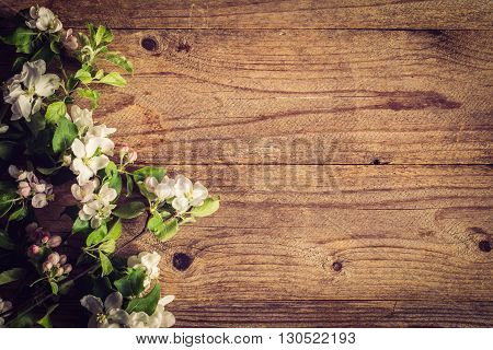 Spring Post Card Image & Photo (Free Trial) | Bigstock