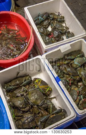 Buckets Live Sea Image & Photo (Free Trial) | Bigstock