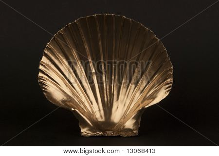 Golden Shell Image & Photo (Free Trial) | Bigstock