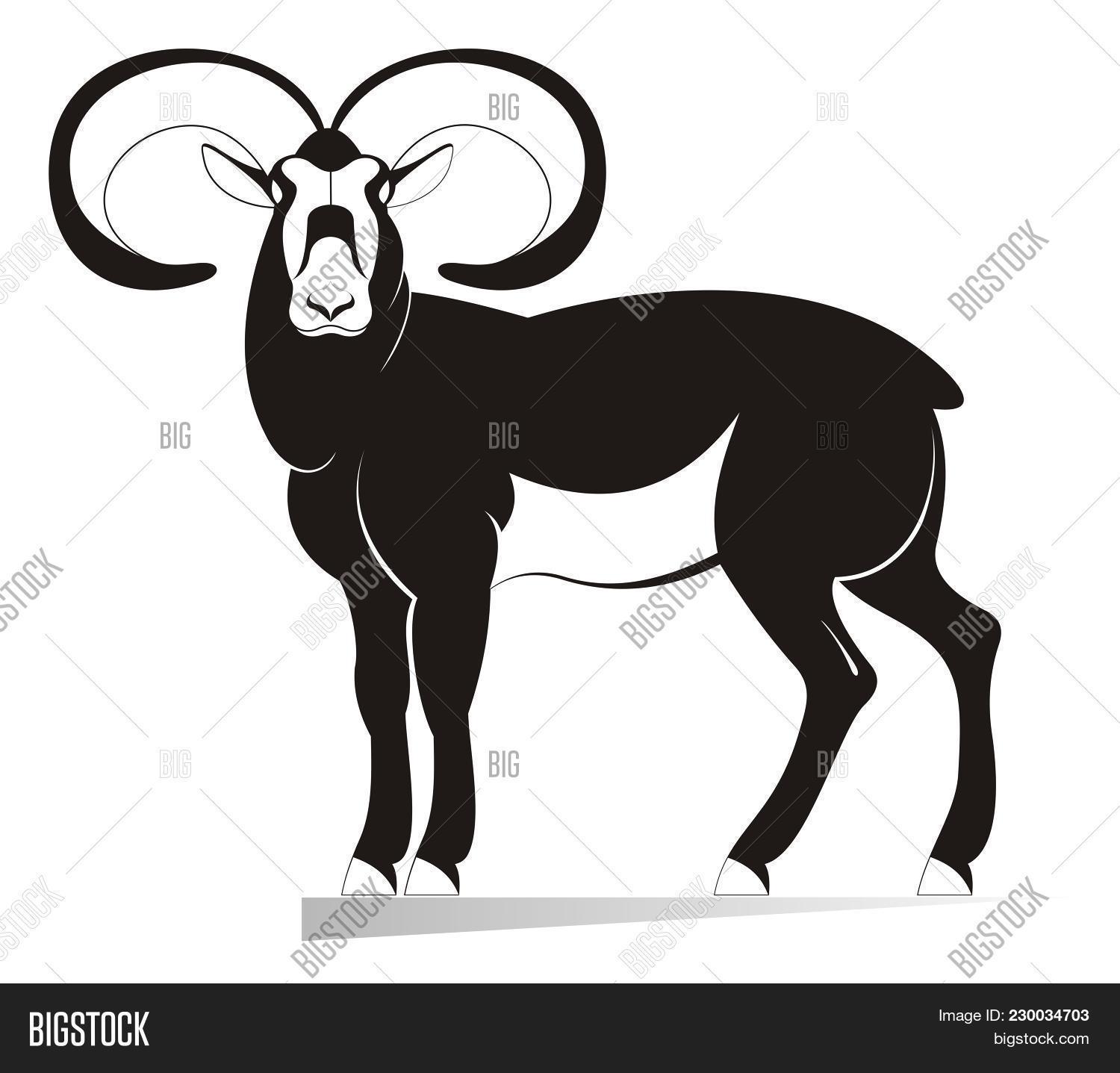 Ram Original Black On Image & Photo (Free Trial) | Bigstock