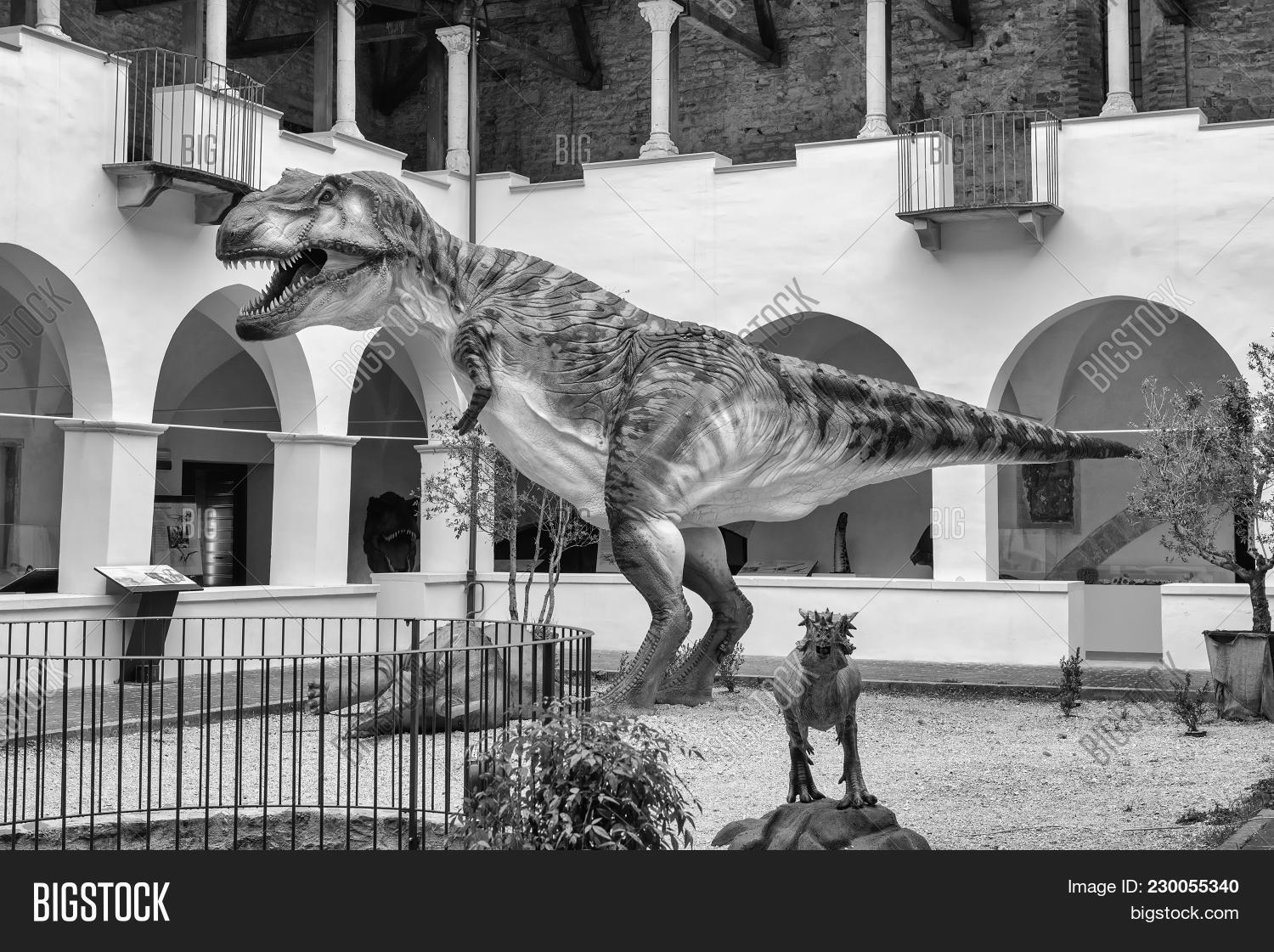 Tyrannosaurus Rex Image & Photo (Free Trial) | Bigstock