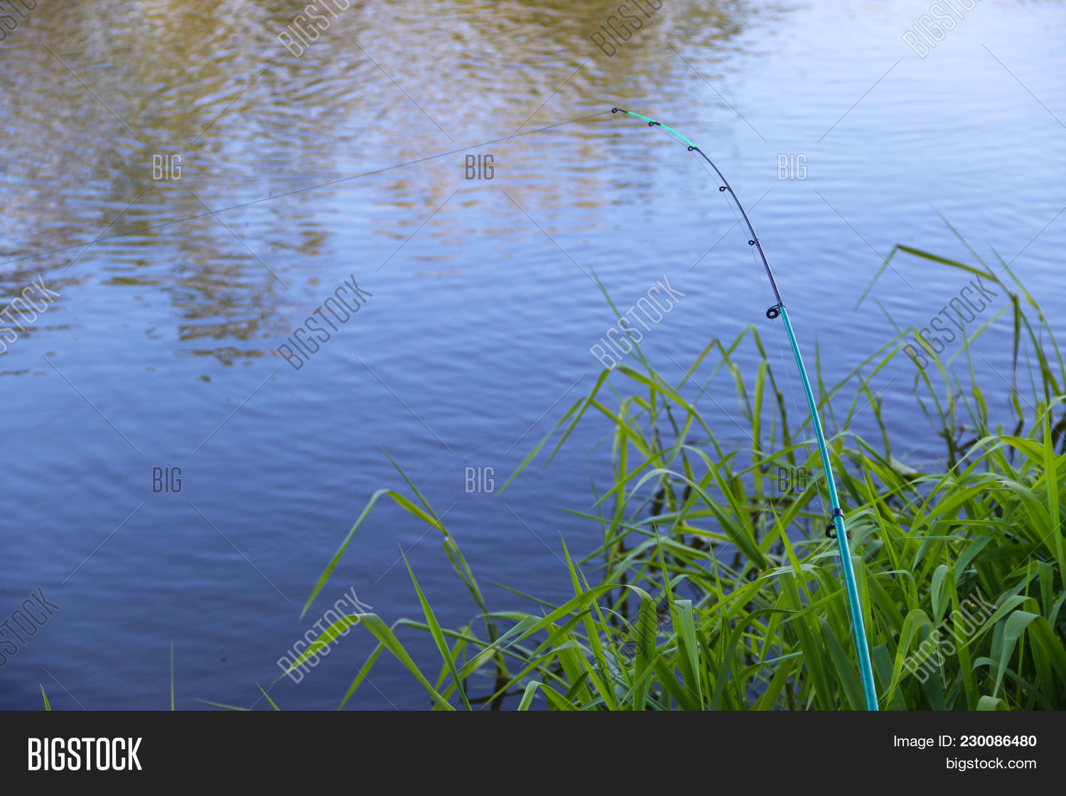 Green Feeder Fishing Image & Photo (Free Trial) | Bigstock